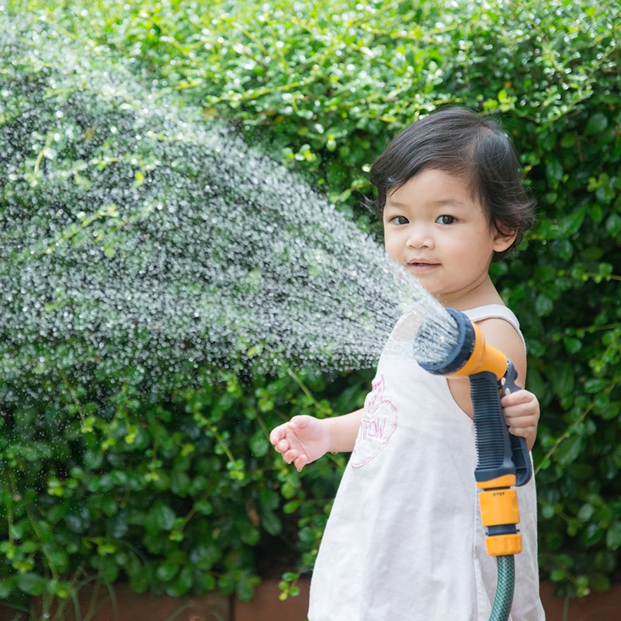 Organic Lawn Care | Good Nature Organic Lawn Care