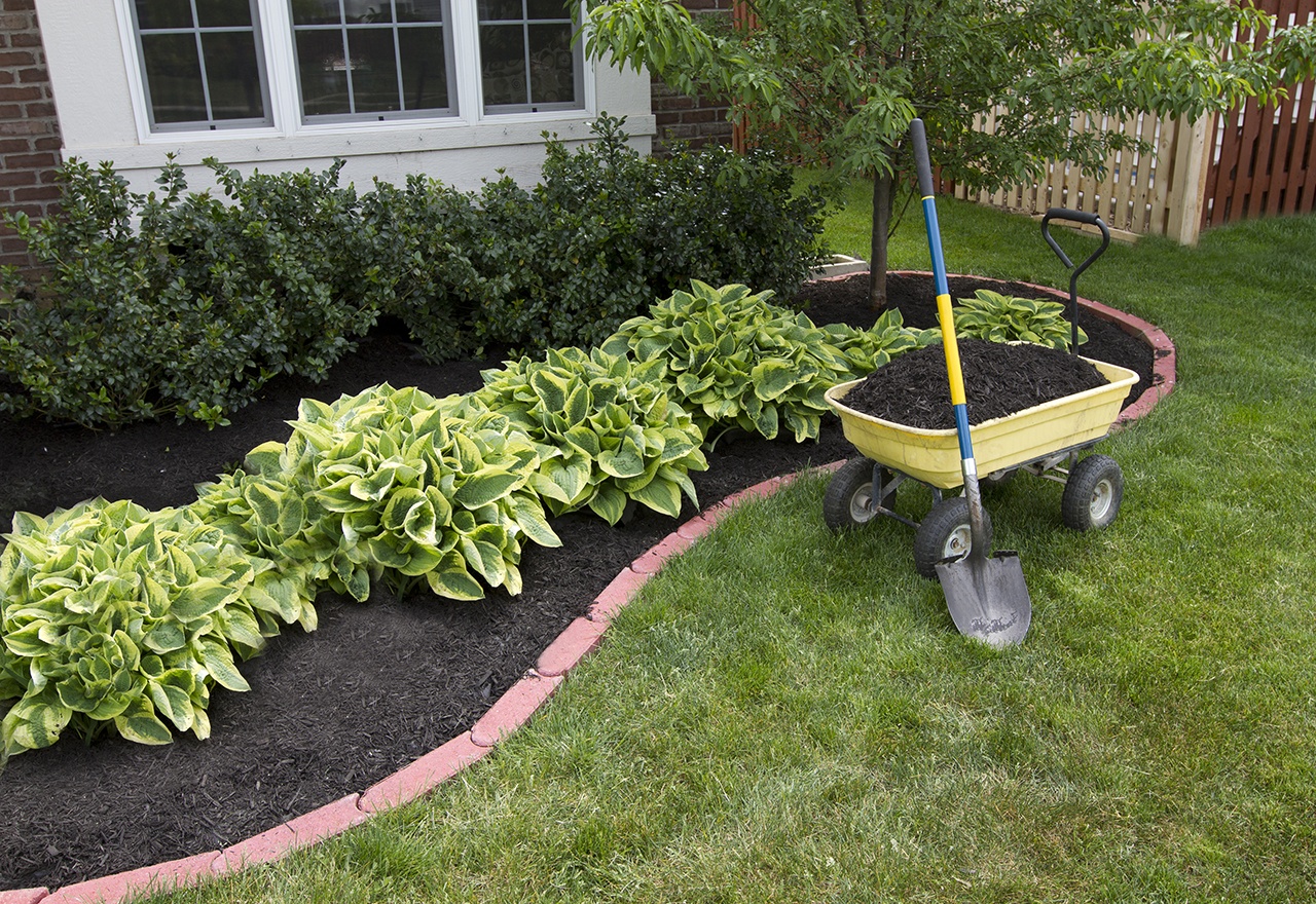 Organic Lawn Services | Good Nature Organic Lawn Care