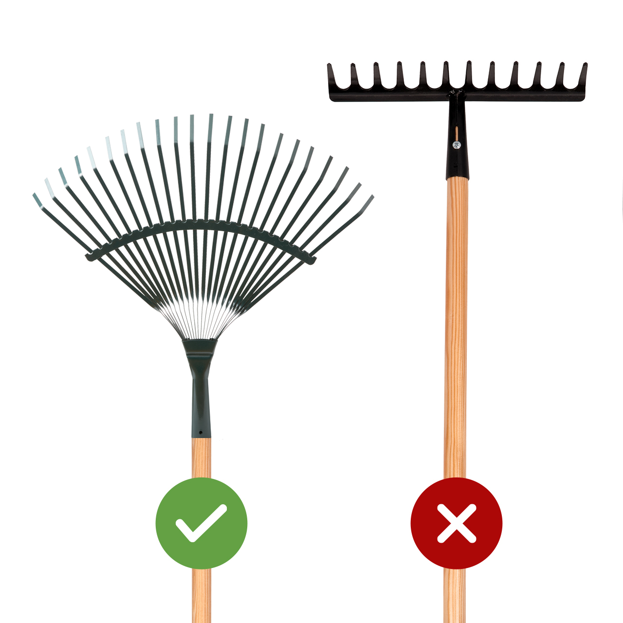 Why NOT to Rake Your Leaves This Year