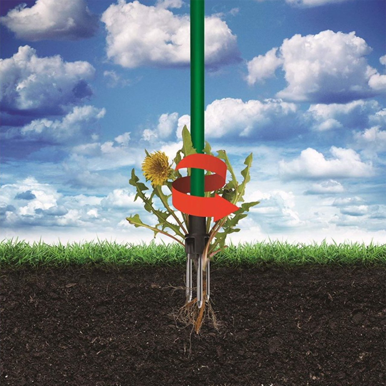 How to Kill Thistles Organically, Without Chemicals